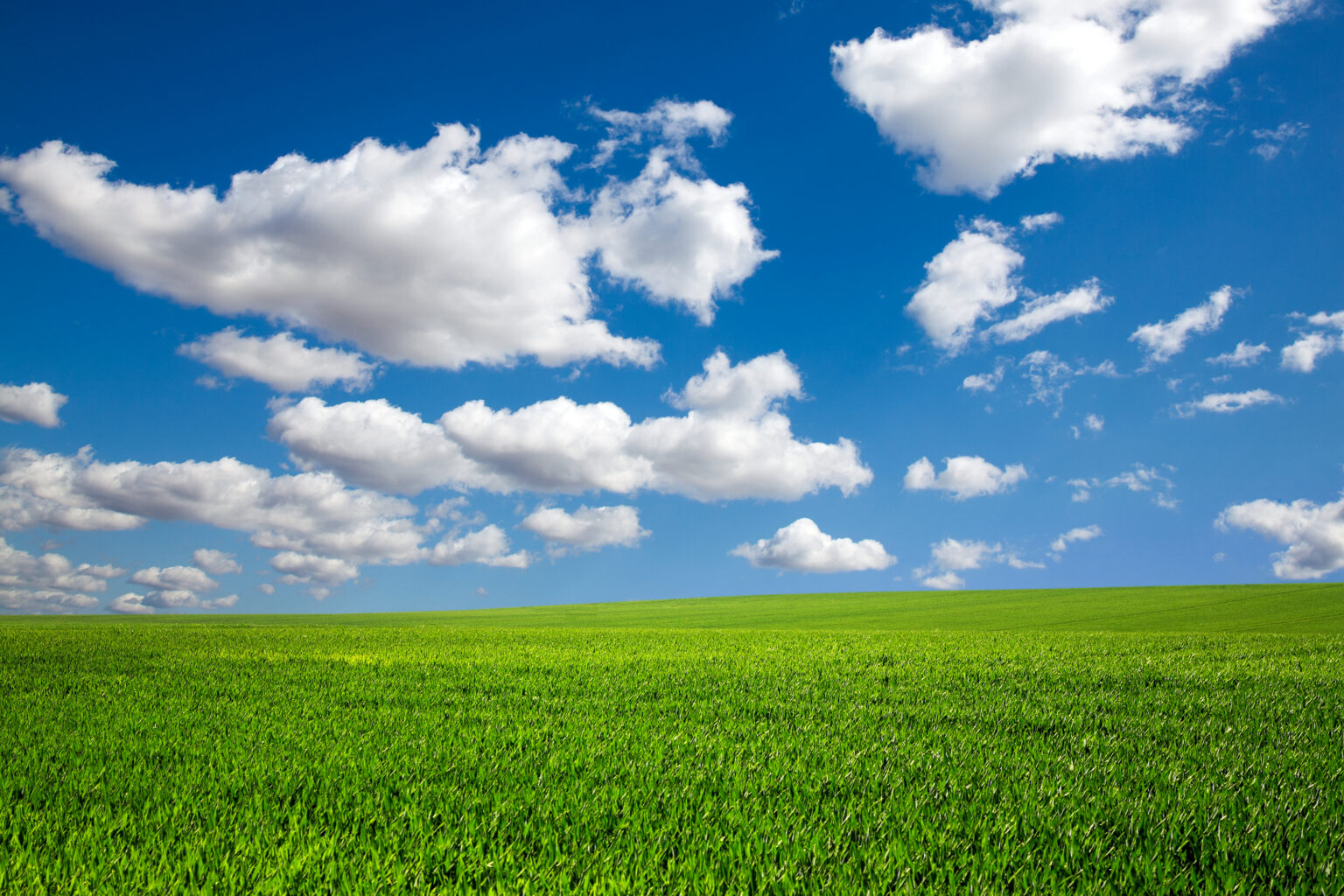 Choosing the Perfect Weather Station – Your Comprehensive Buying Guide ...